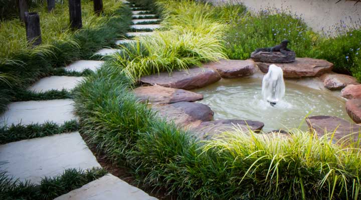 Looking for a landscaper in Centurion? We design and install!